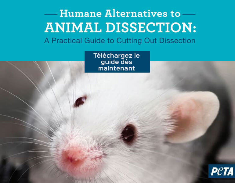 Le nouveau manuel des alternatives éthiques à la dissection animale de ...