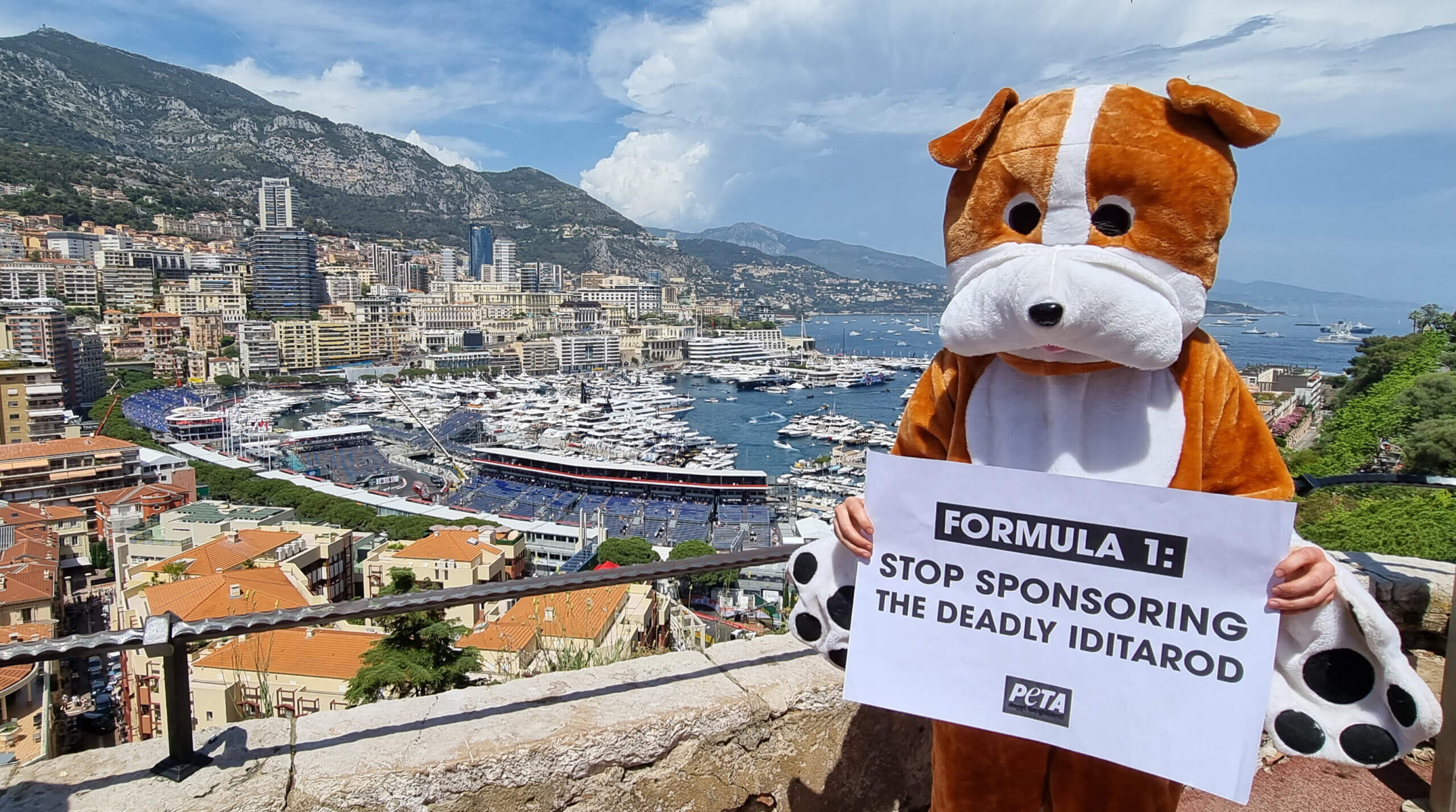 Grand Prix de Monaco : PETA Allemagne appelle la F1 à cesser de ...