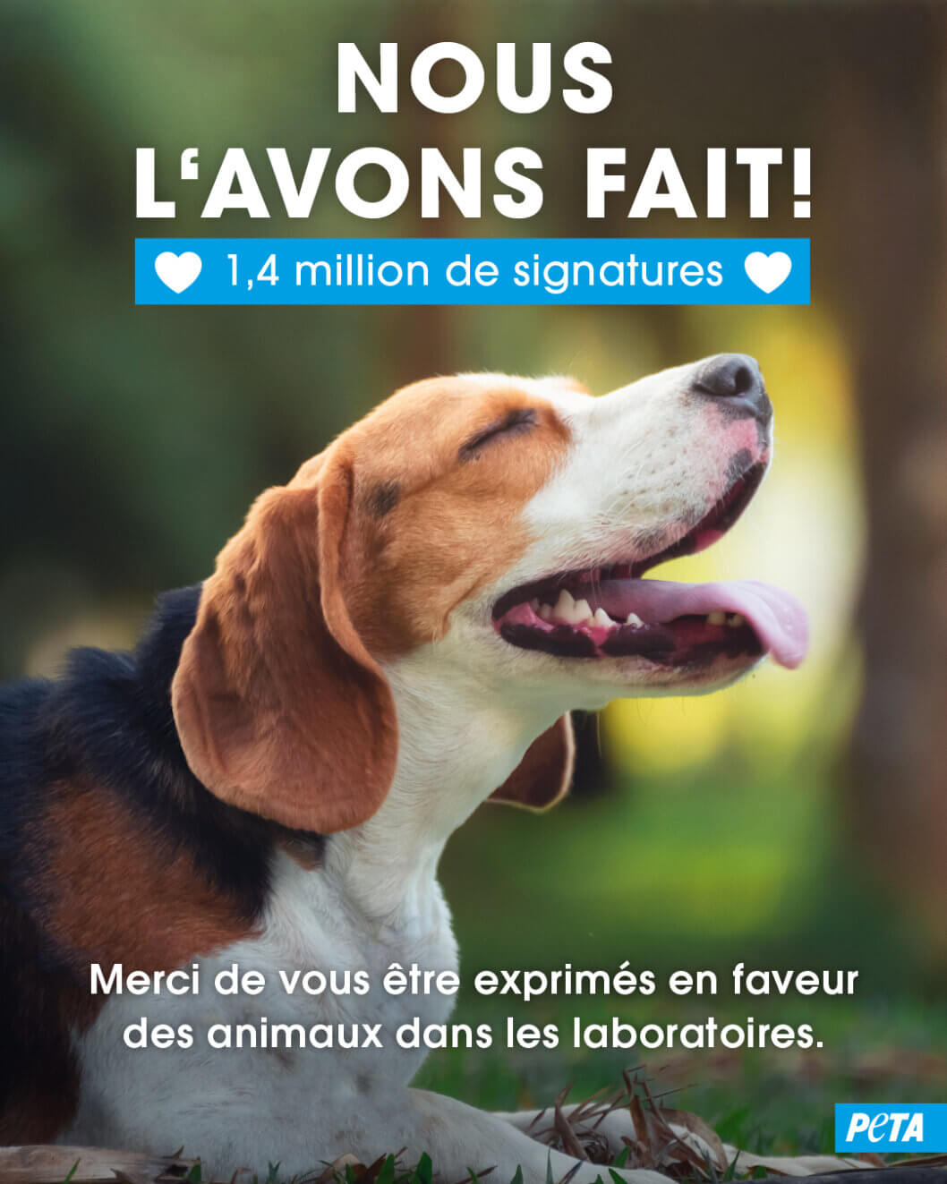Grande nouvelle : 1,4 million de personnes veulent mettre fin à l ...