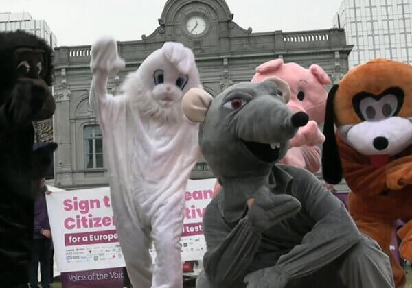 Pour une Éthique dans le Traitement des Animaux (PETA) : droits des ...