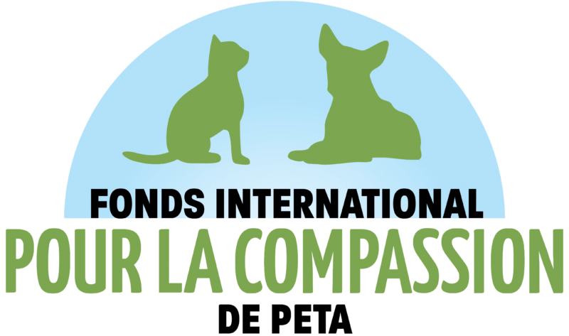Bienvenue à la discussion au coin du feu sur le Fonds international ...