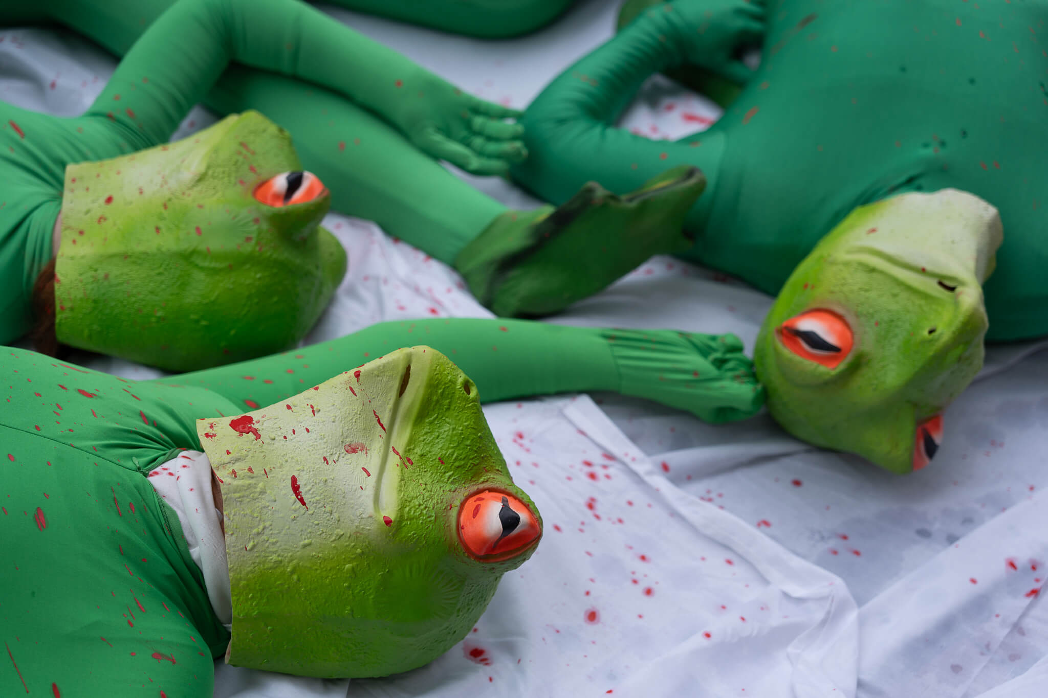 Une pile de « cadavres » de grenouilles devant Carrefour - Actualités ...