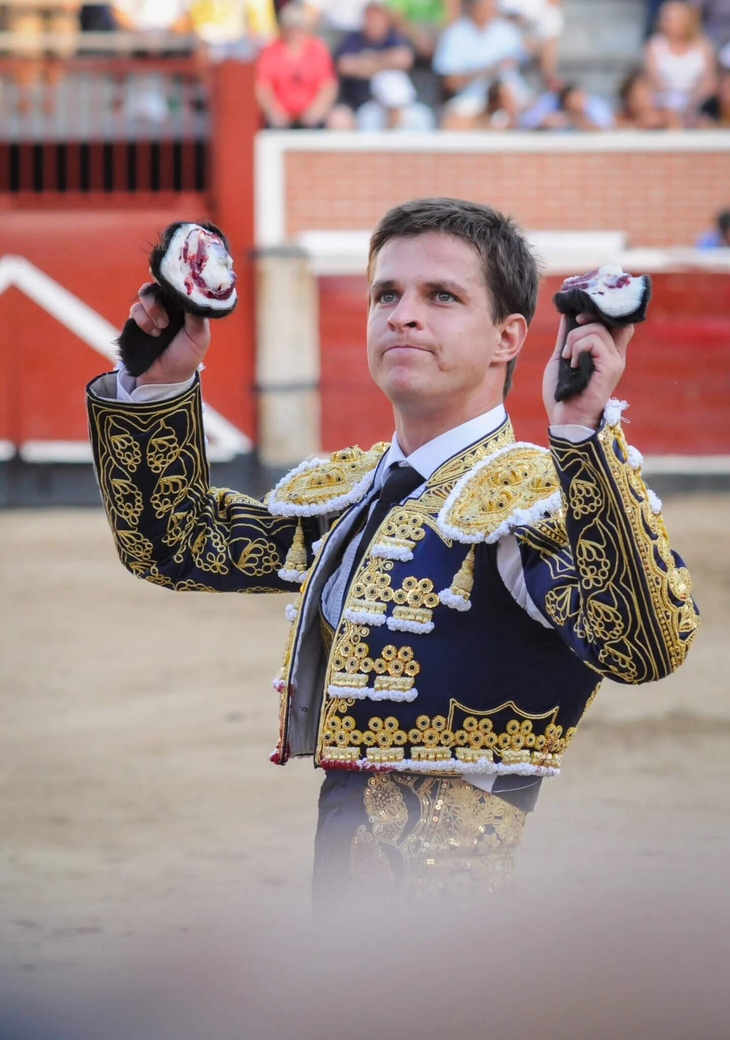 Lettre d’Elise Goldfarb au matador Mario Alcalde – PETA France