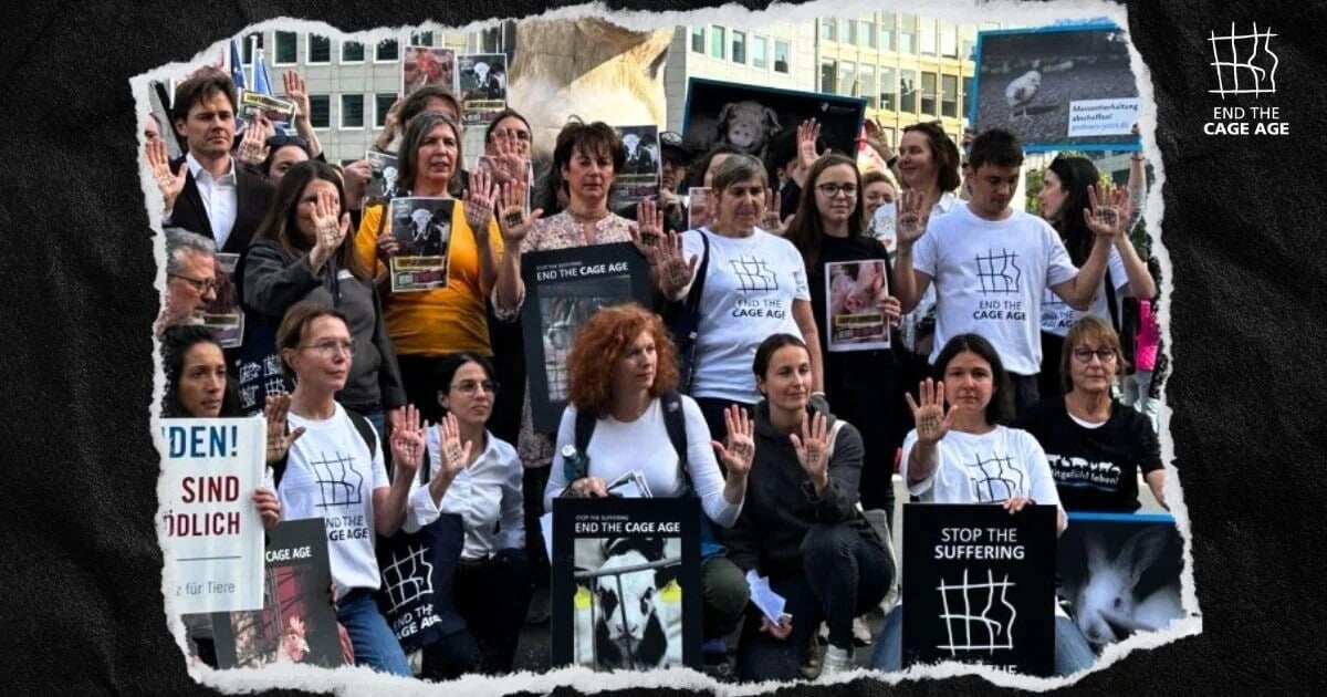 La Commission européenne poursuivie en justice – PETA France