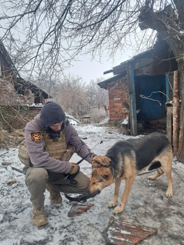 Ukraine : interview d’un sauveteur d’animaux au 1 000e jour de la ...