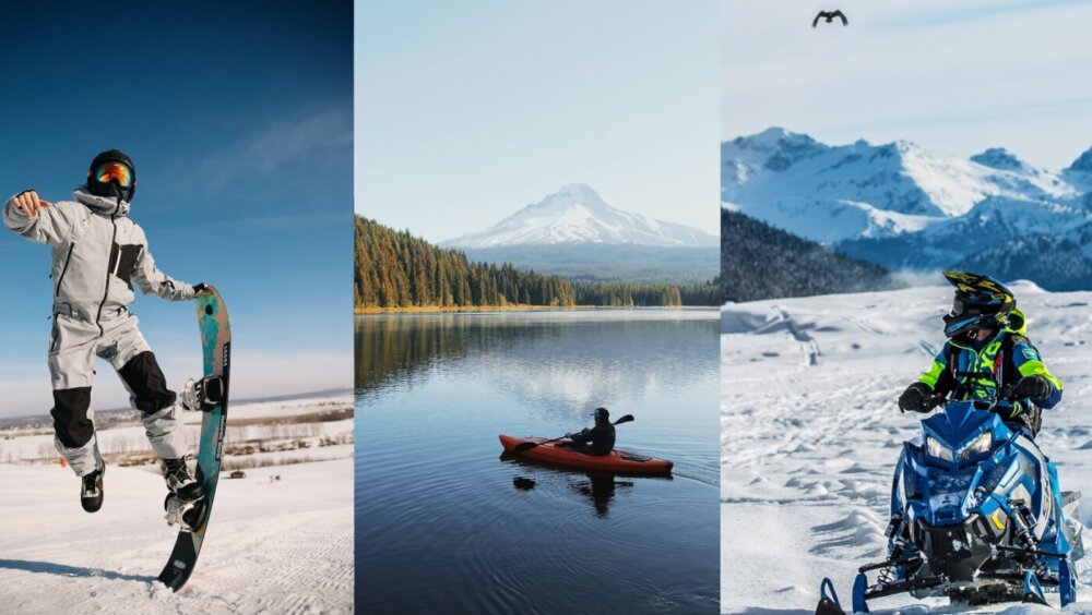 Balades en chiens de traîneaux : 5 choses à savoir - PETA France