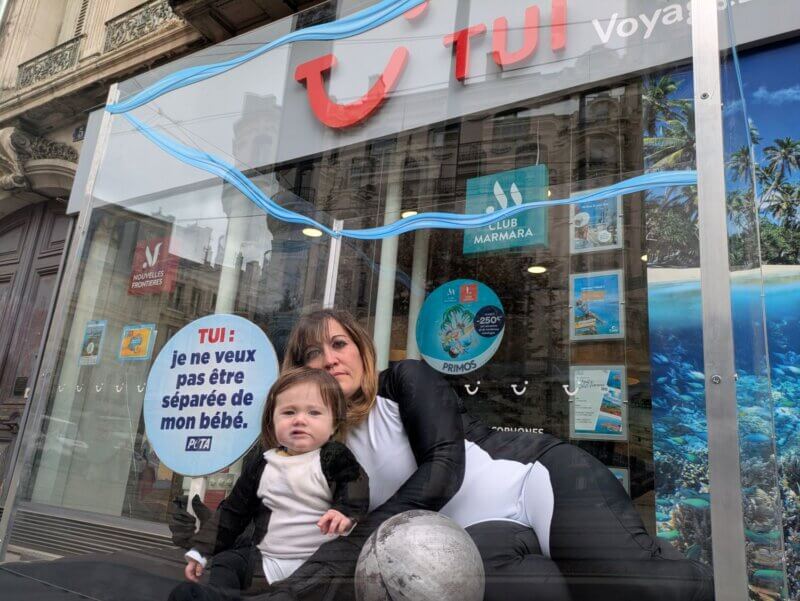 Une action choc pour interpeller l’agence TUI - PETA France