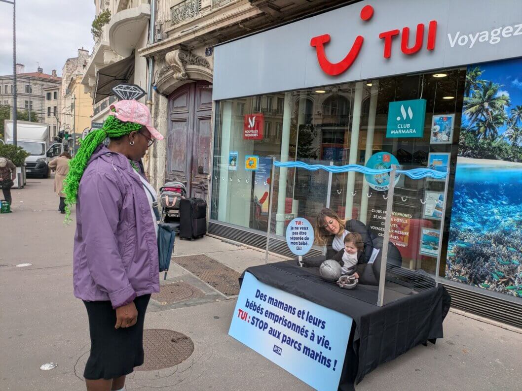 Une action choc pour interpeller l’agence TUI - PETA France