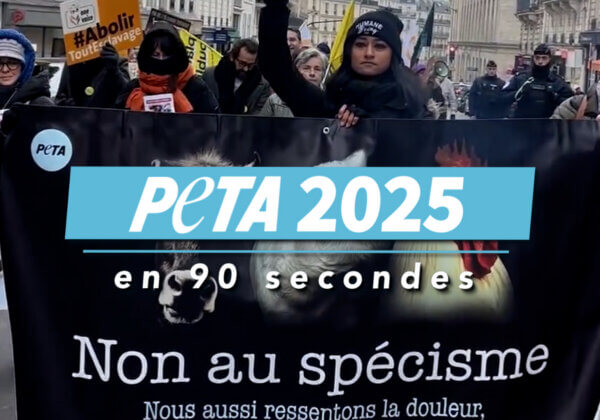 Pour une Éthique dans le Traitement des Animaux (PETA)