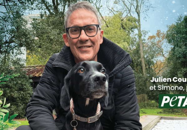 Picard et Thiriet arrêtent les cuisses de grenouilles – PETA France